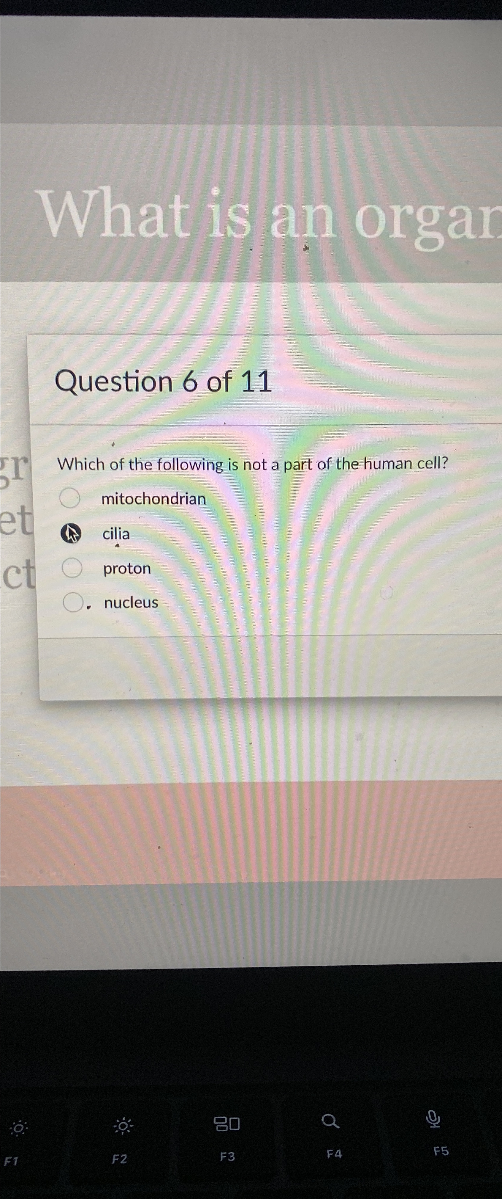 Solved What is an orgar.Question 6 ﻿of 11Which of the | Chegg.com
