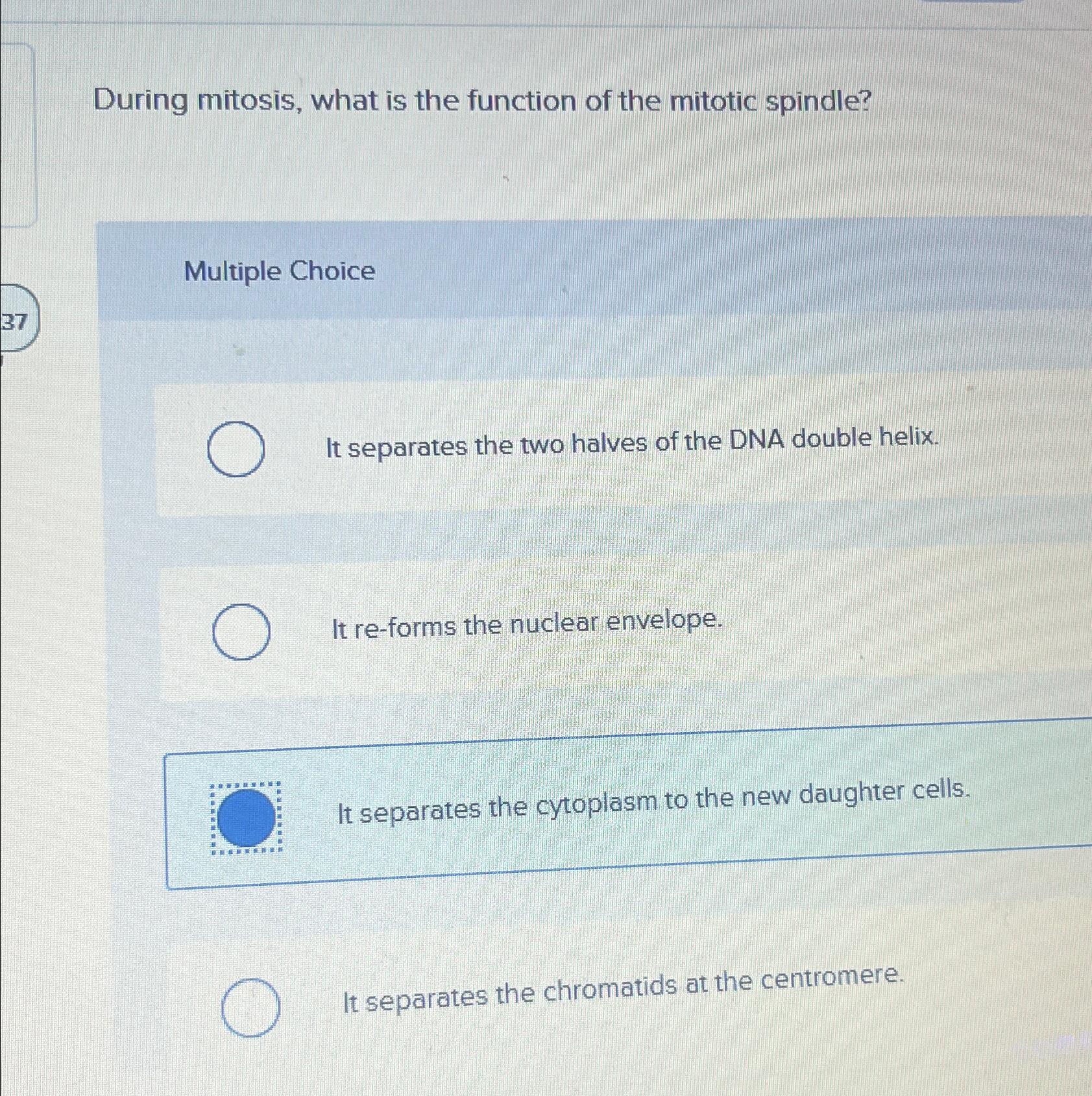 Solved During mitosis, what is the function of the mitotic | Chegg.com
