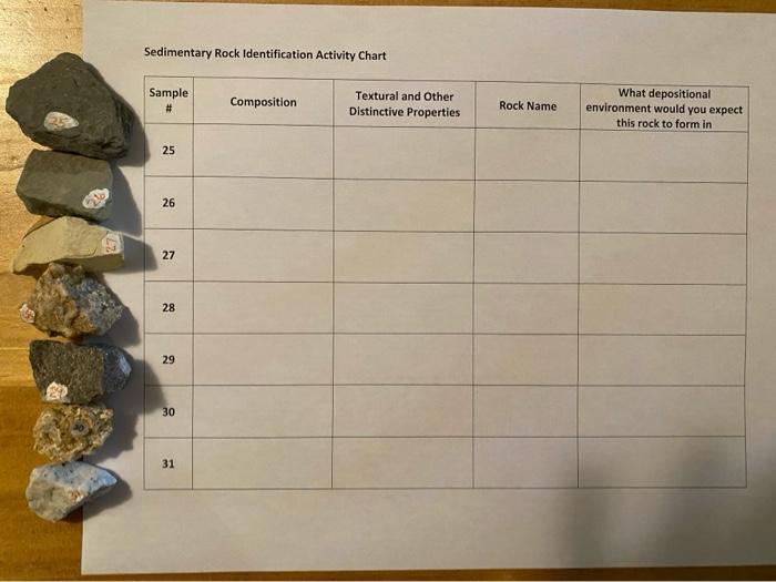 Solved Sedimentary Rock Identification Activity Chart Sample | Chegg.com