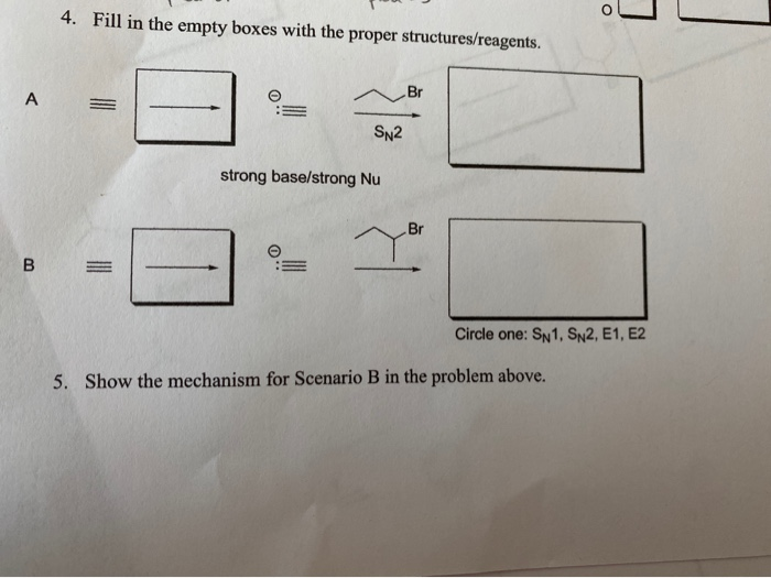 Solved Fill in the empty Boxes with the proper | Chegg.com