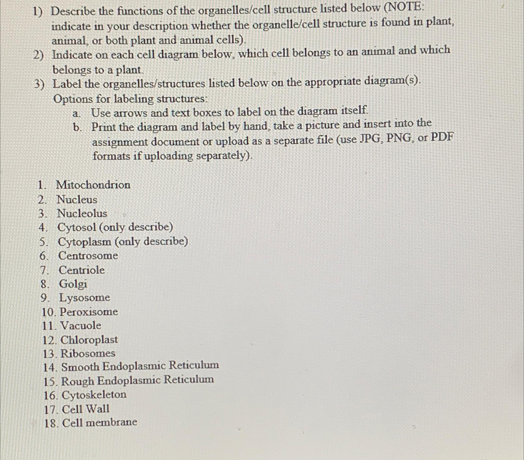 Solved Describe the functions of the organelles/cell | Chegg.com