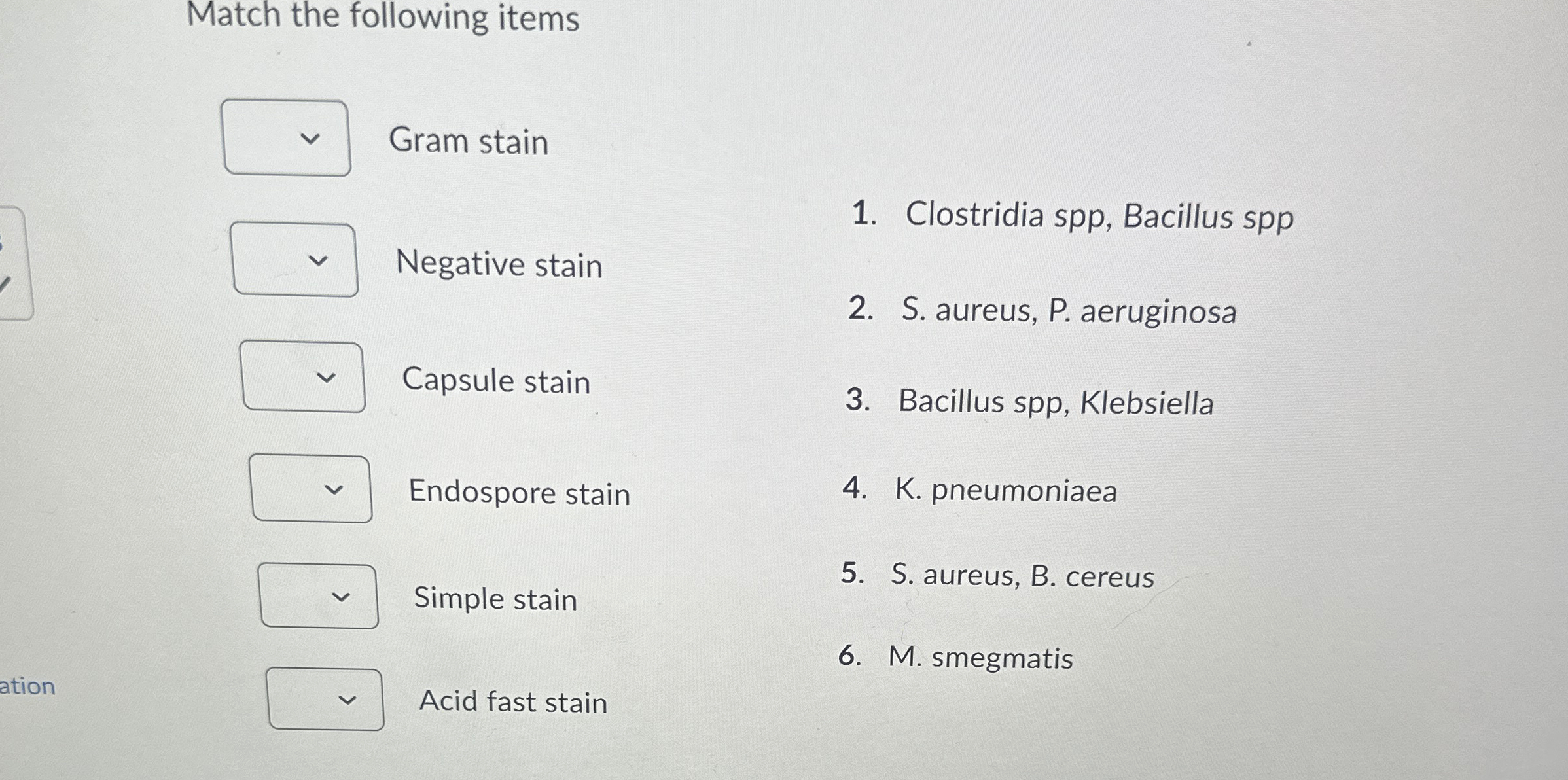 Solved Match the following itemsGram stainNegative | Chegg.com