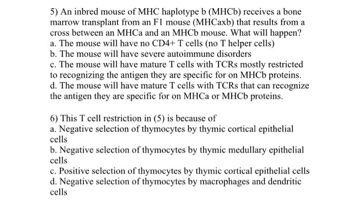 Solved 5) An inbred mouse of MHC haplotype b (MHCb) receives | Chegg.com