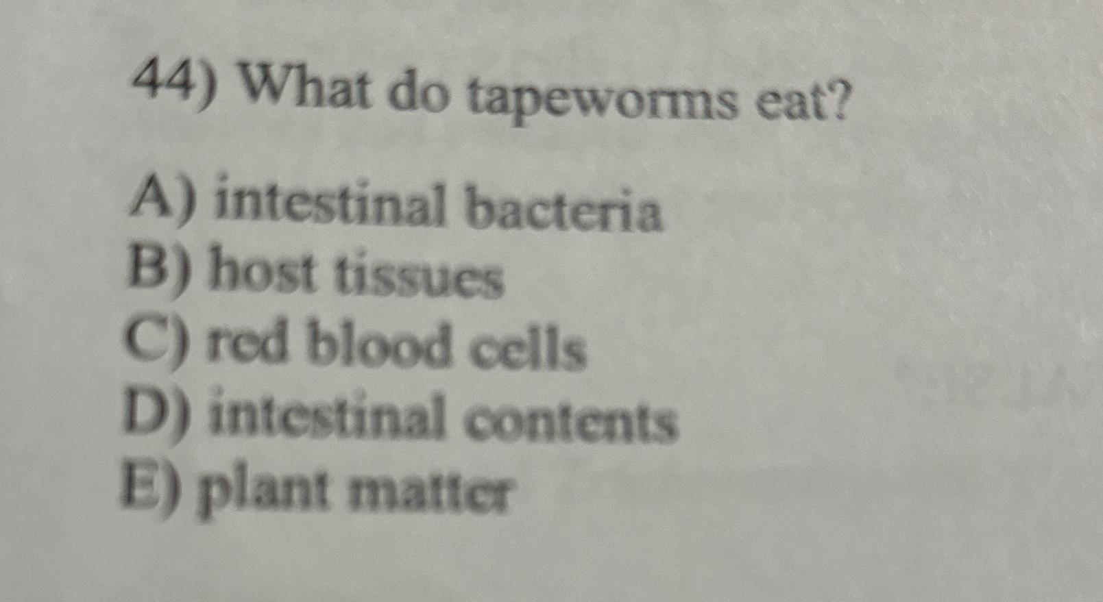 Solved What do tapeworms eat?A) ﻿intestinal bacteriaB) ﻿host | Chegg.com