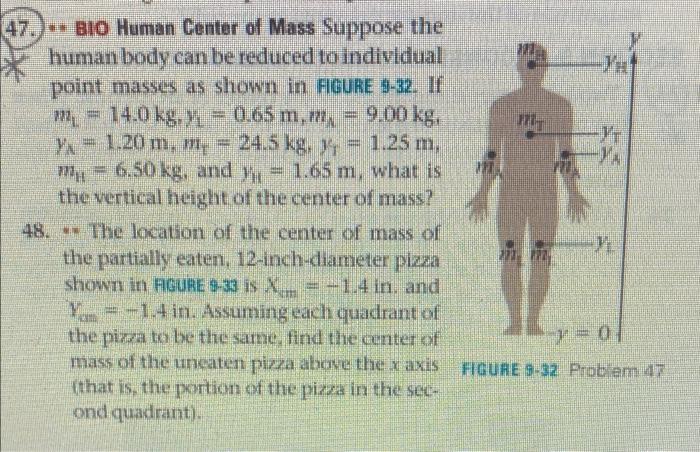 Solved 47. BIO Human Center of Mass Suppose the human body | Chegg.com