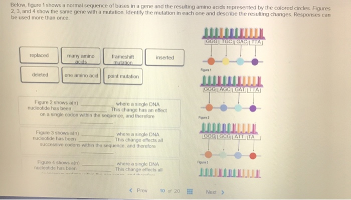 Solved: Complete The Paragraph Investigating The Relations... | Chegg.com