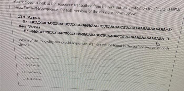 Solved You decided to look at the sequence transcribed from | Chegg.com