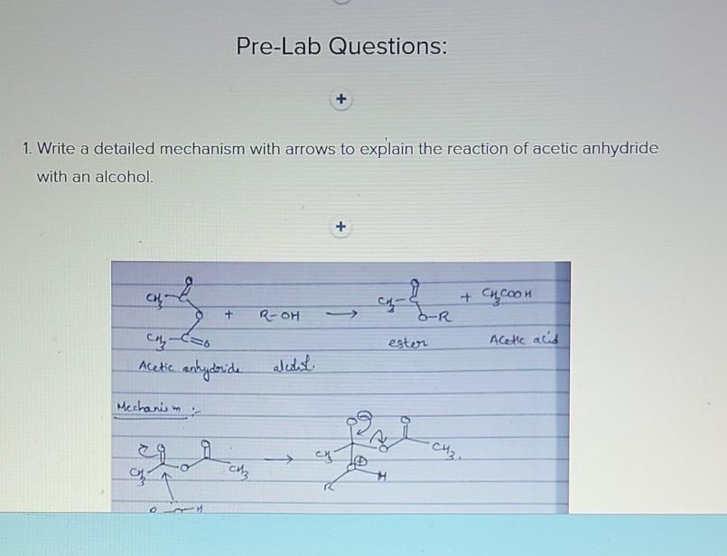 Esterification PRELAB EXERCISE: Give the detailed | Chegg.com