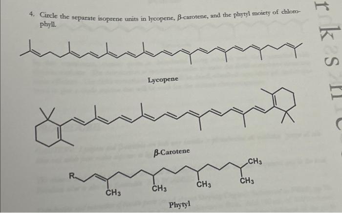 Solved 4. Circle the separate isoprene units in lycopene, | Chegg.com