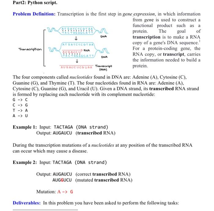 Solved Problem Definition: Transcription is the first step | Chegg.com