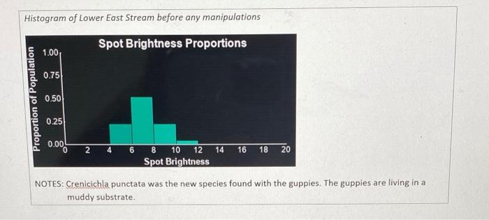 Solved the male guppies are the ones with colorful spots . | Chegg.com