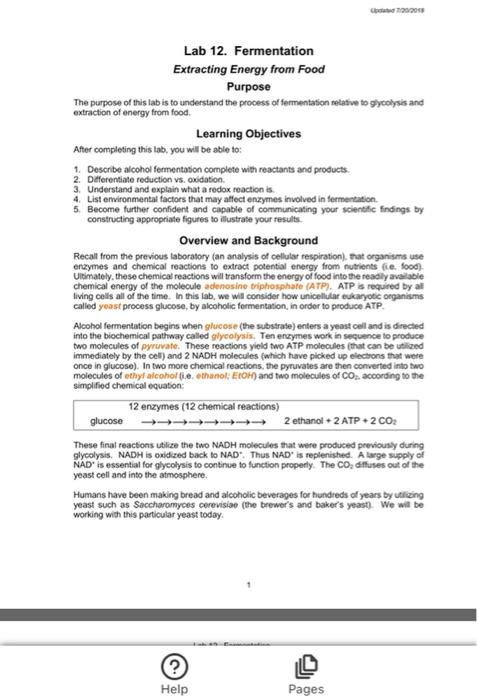 Solved Lab 12. Fermentation Extracting Energy from Food | Chegg.com