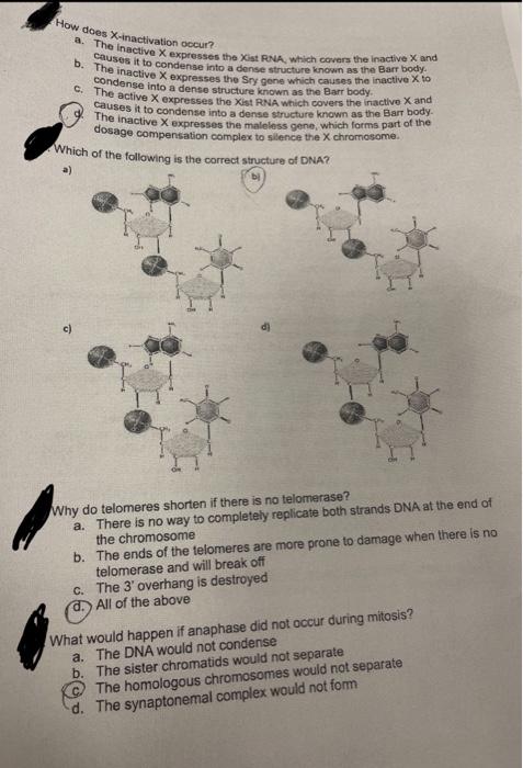 Solved One question multiple parts please help answer all | Chegg.com