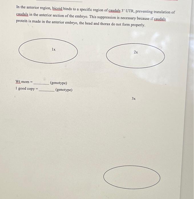 Solved please double check my work for question 1 both the | Chegg.com