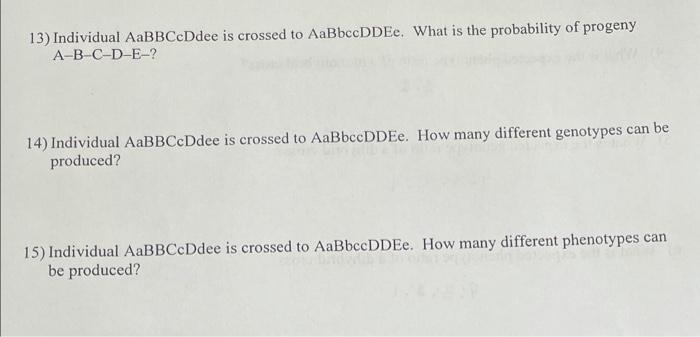 Solved 13) Individual AaBBCcDdee is crossed to AaBbccDDEe. | Chegg.com