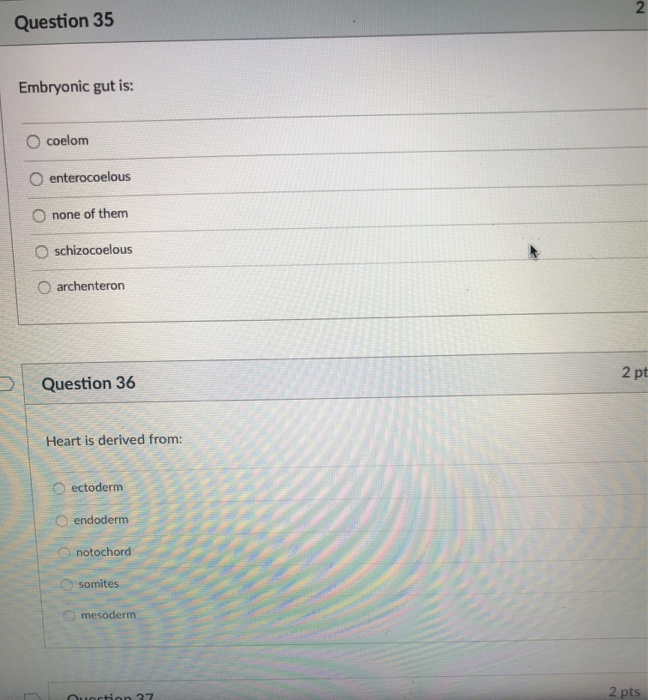 Solved 2 Question 35 Embryonic gut is: coelom enterocoelous | Chegg.com