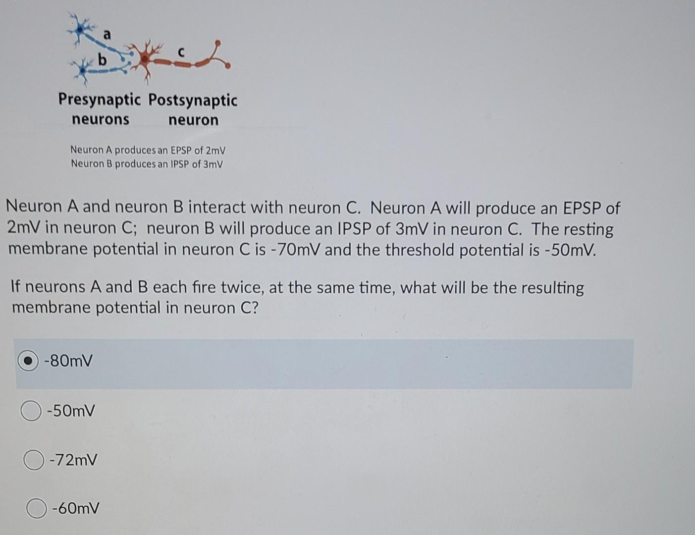 Solved b Presynaptic Postsynaptic neurons neuron Neuron A | Chegg.com