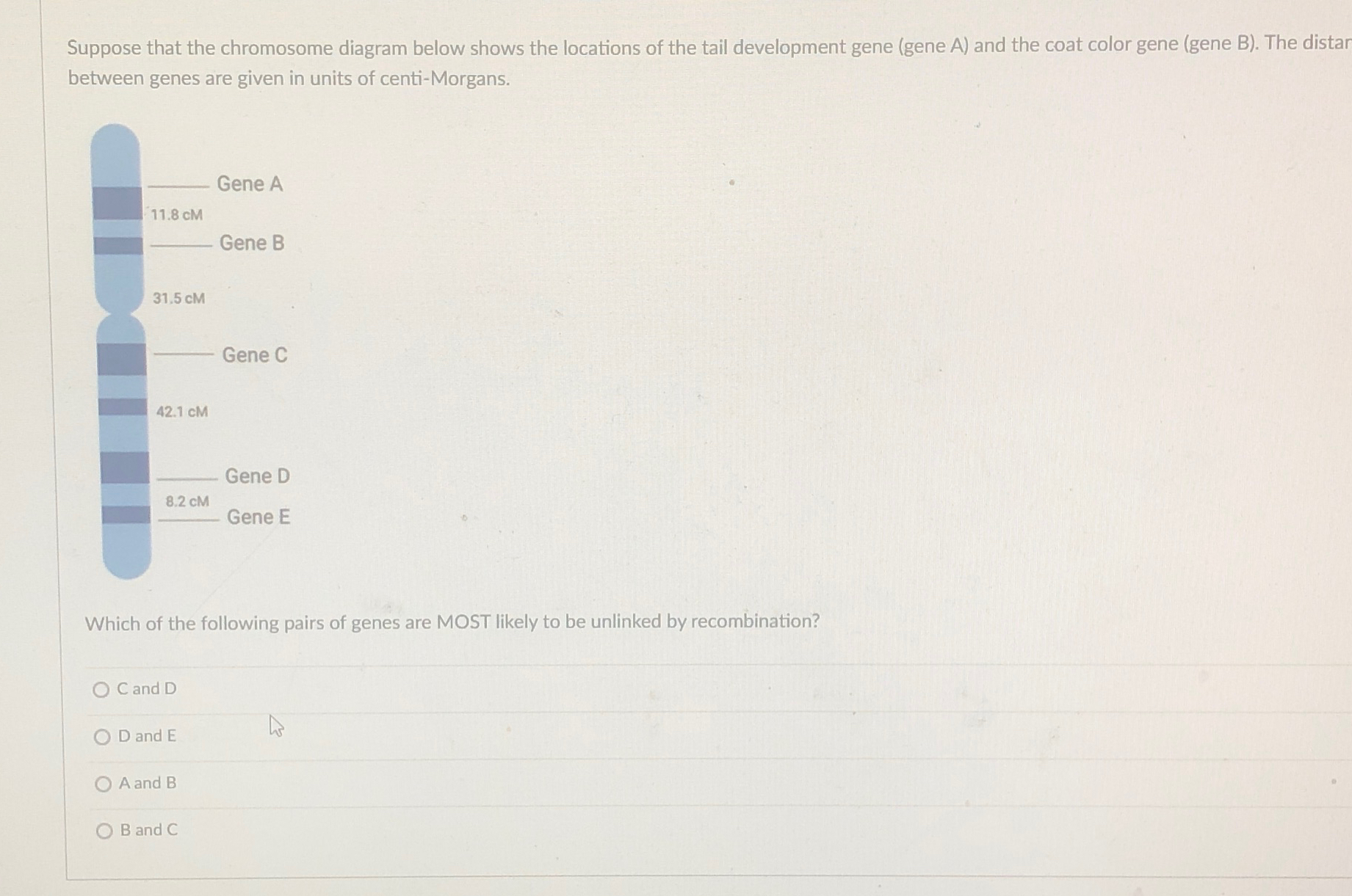 Solved Suppose that the chromosome diagram below shows the | Chegg.com