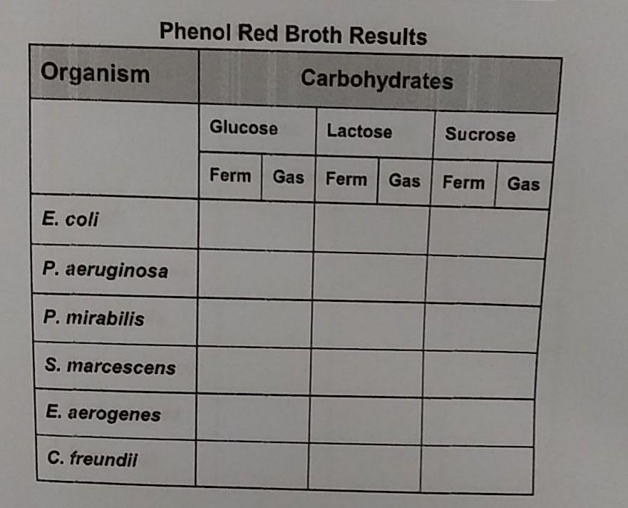 Solved Phenol Red Broth Results Organism Carbohydrates | Chegg.com