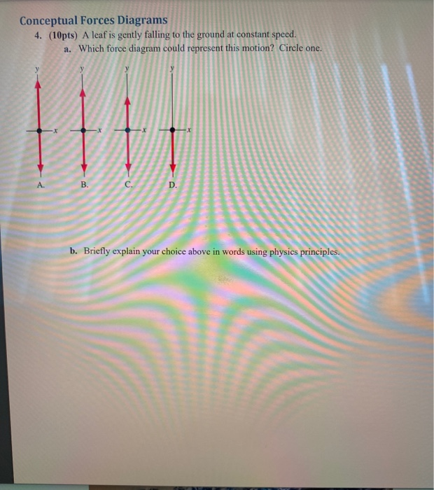 Solved Conceptual Forces Diagrams 4. (10pts) A leaf is | Chegg.com
