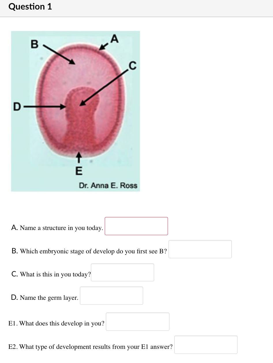 Solved Question 1A. ﻿Name a structure in you today.B. ﻿Which | Chegg.com