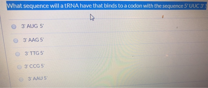 Solved What sequence will a tRNA have that binds to a codon | Chegg.com
