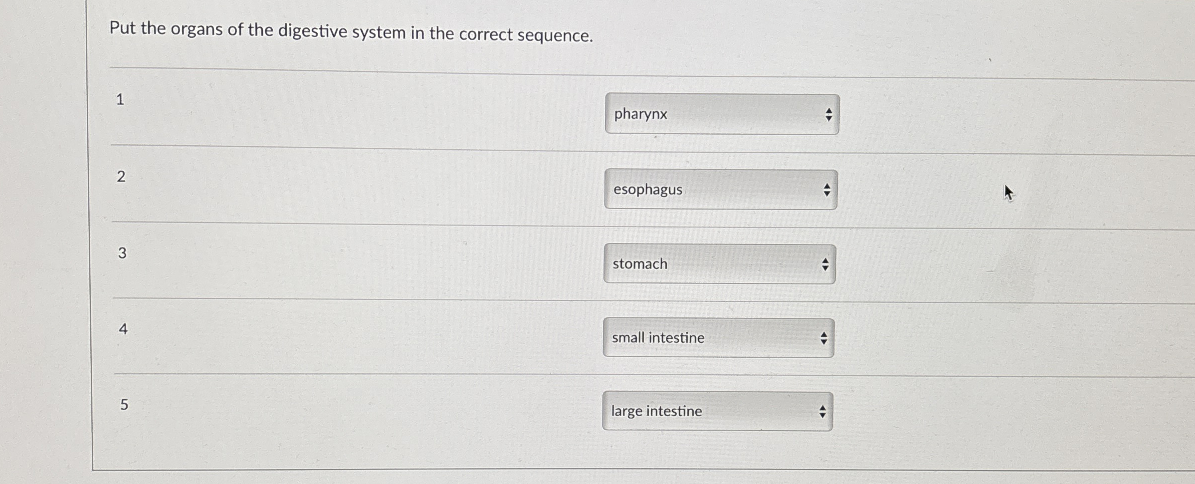 Solved Put the organs of the digestive system in the correct | Chegg.com