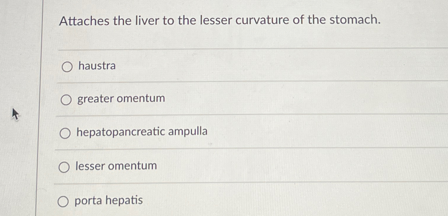 Solved Attaches the liver to the lesser curvature of the | Chegg.com