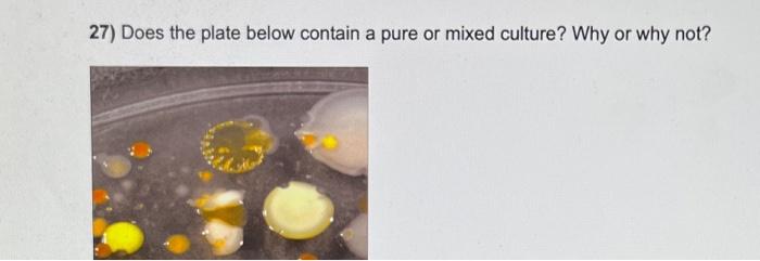 Solved 27) Does the plate below contain a pure or mixed | Chegg.com
