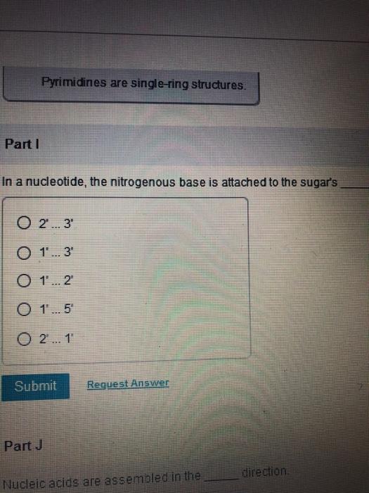 Solved Pyrimidines are single-ring structures Part 1 In a | Chegg.com