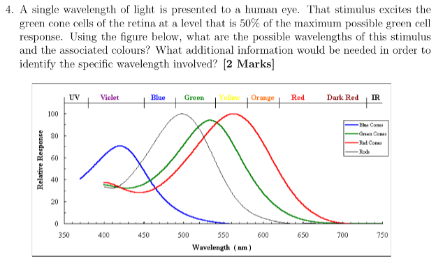 Solved A single wavelength of light is presented to a human | Chegg.com
