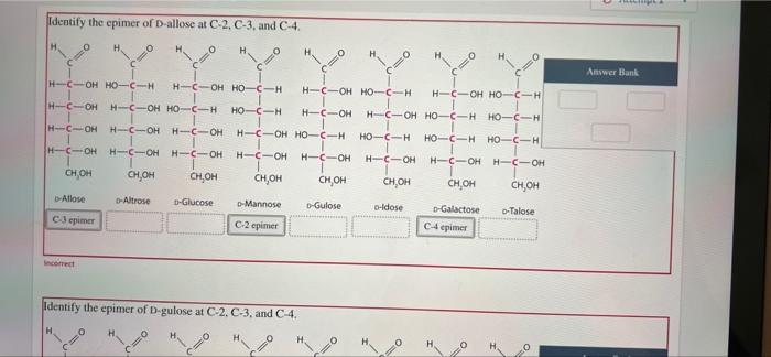 Solved Identify the epimer of D-allose at C-2, C-3, and C-4. | Chegg.com