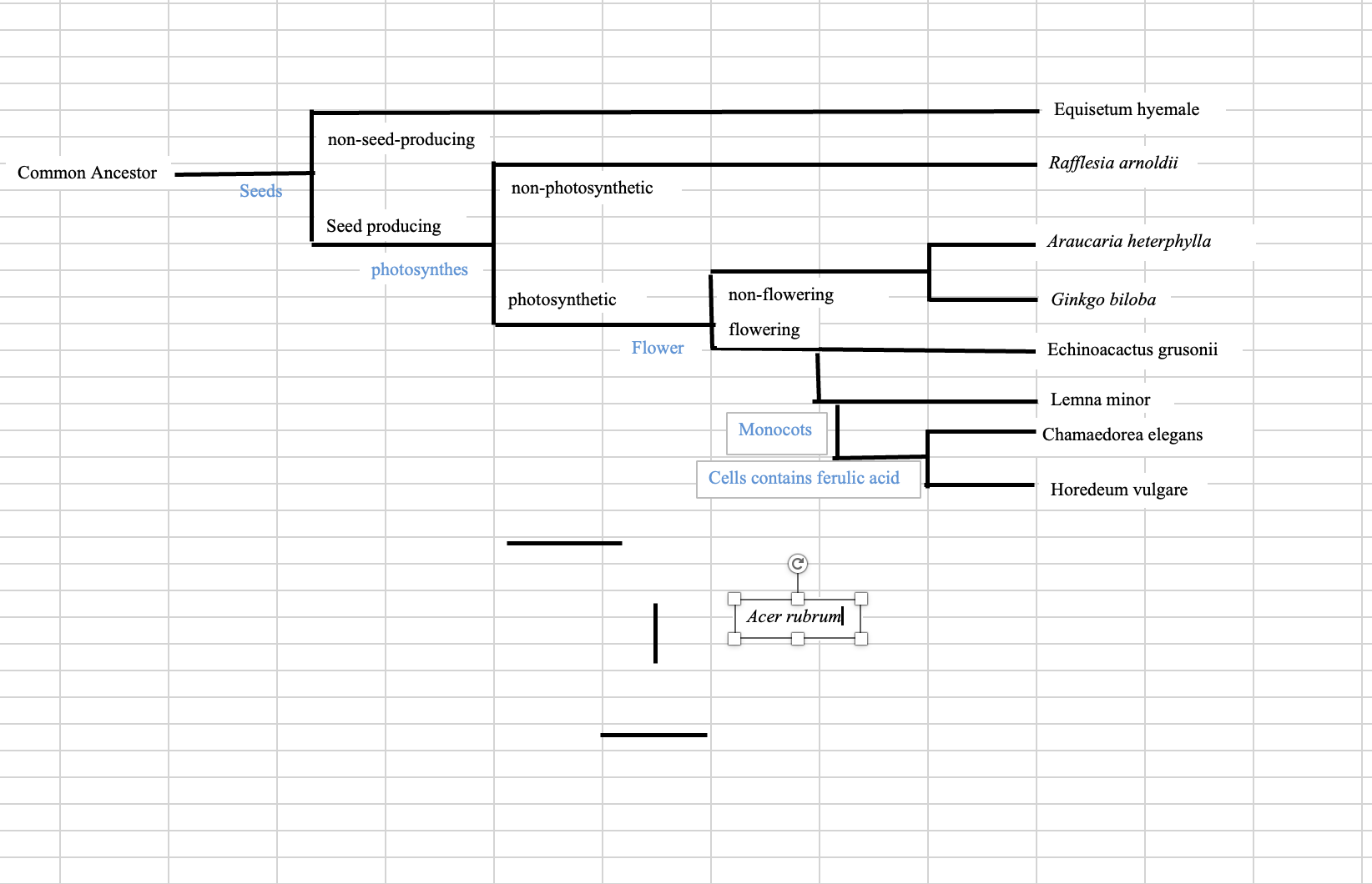 Solved Create a hypotheized phylogenetic tree using these 9 | Chegg.com