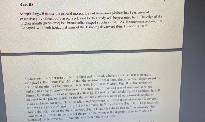 Morphology. Fresh pitcher samples from the greenhouse | Chegg.com