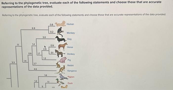 Solved Referring to the phylogenetic tree, evaluate each of | Chegg.com