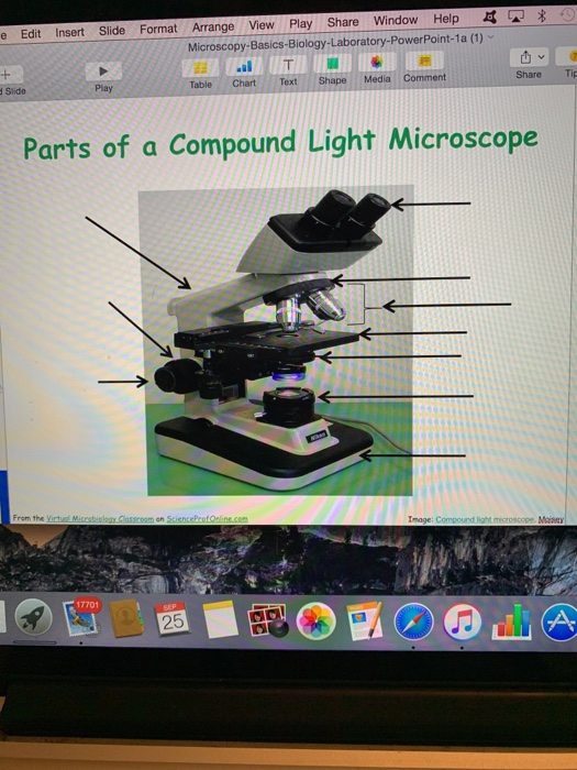 Solved Edit e Insert Slide Format Arrange View Play Share | Chegg.com
