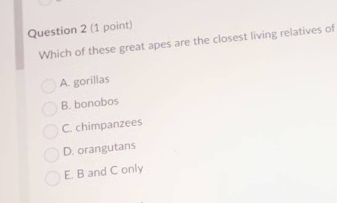 Solved Question 2 (1 ﻿point)Which of these great apes are | Chegg.com