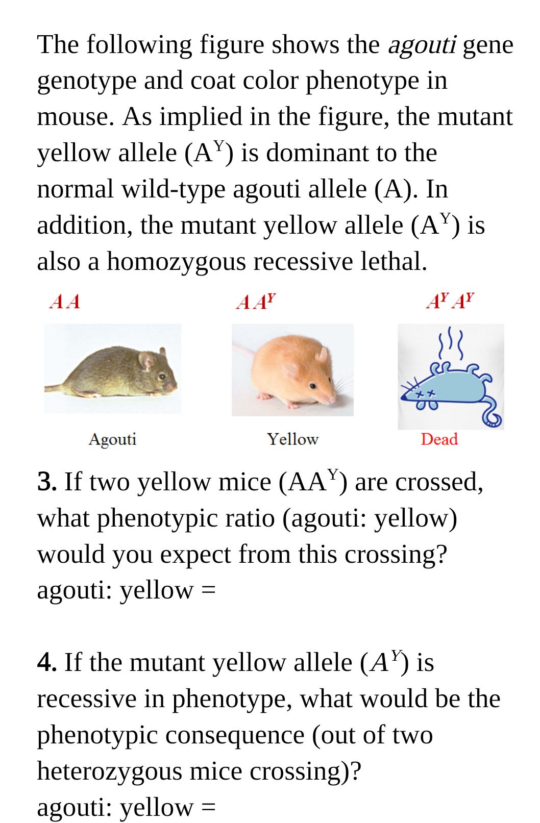 Solved Antigen Phenotype Genotype JAJA A A IA; AJ BB B B B | Chegg.com