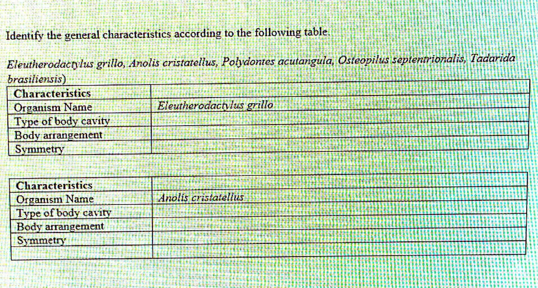 Solved Identify the general characteristics according to the | Chegg.com
