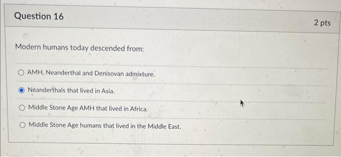 Modern humans today descended from: AMH, Neanderthal | Chegg.com