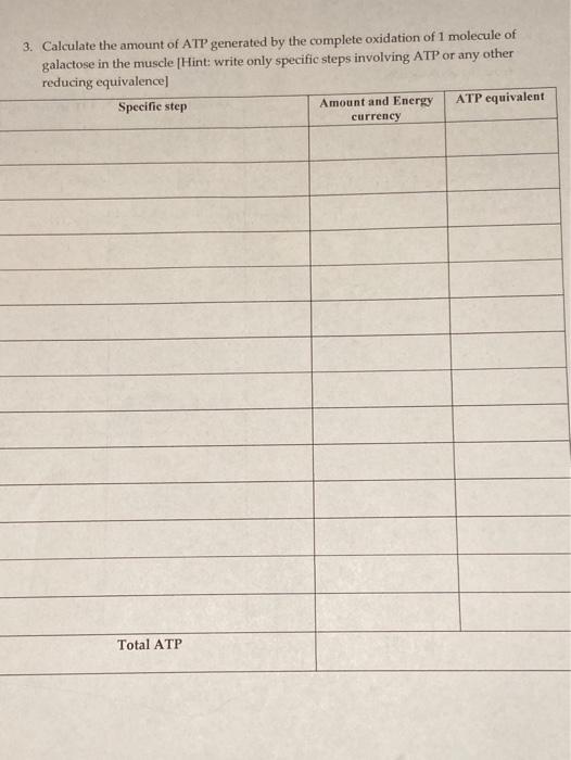 Solved 3. Calculate the amount of ATP generated by the | Chegg.com