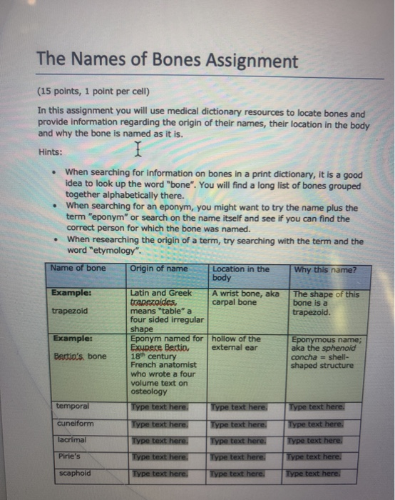 Solved The Names of Bones Assignment (15 points, 1 point per | Chegg.com