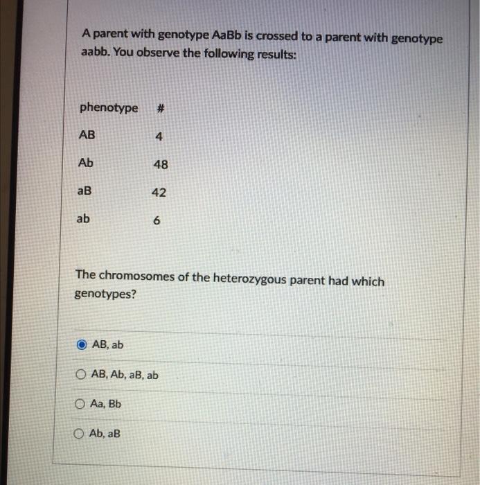 Solved A parent with genotype AaBb is crossed to a parent | Chegg.com
