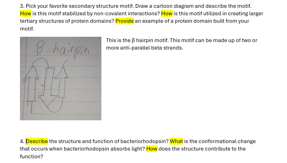 Solved Pick your favorite secondary structure motif. Draw a | Chegg.com