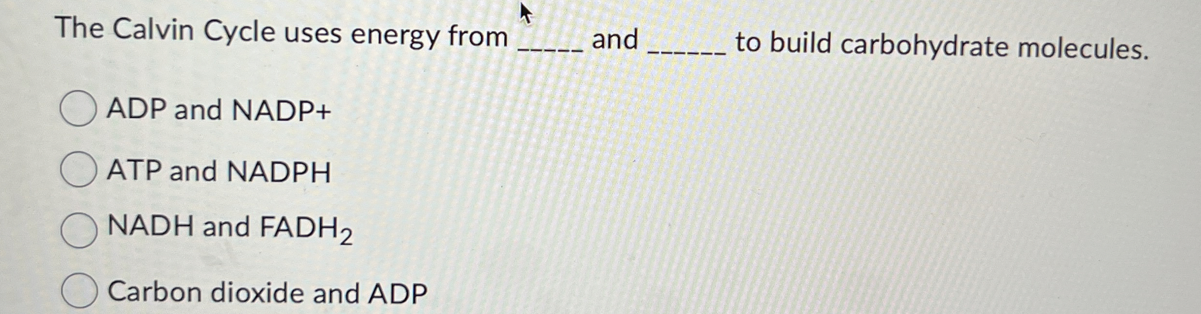 Solved The Calvin Cycle uses energy fromandto build | Chegg.com