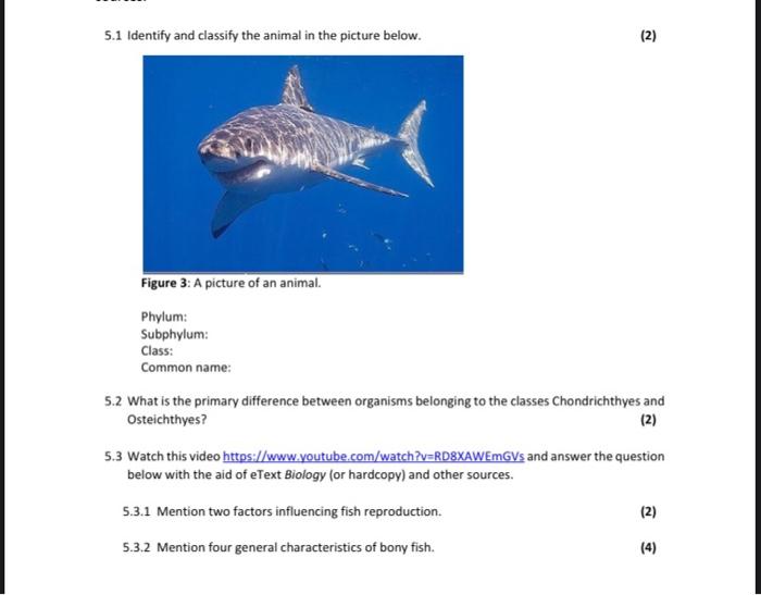 Solved 5.1 Identify and classify the animal in the picture | Chegg.com