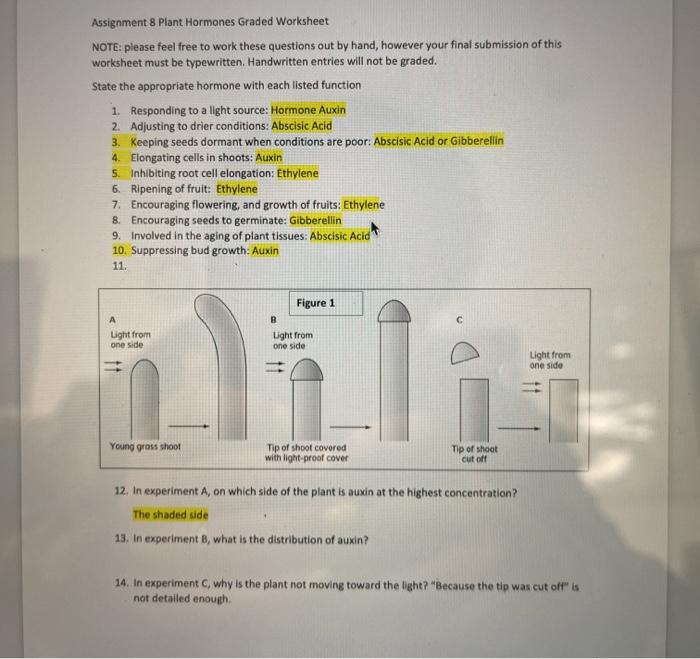 Solved Assignment 8 Plant Hormones Graded Worksheet NOTE: | Chegg.com