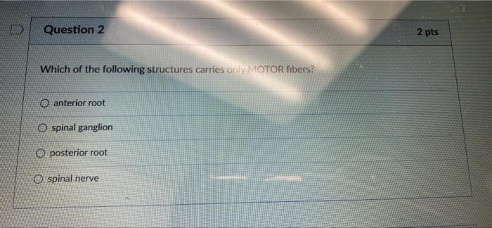 Solved D Question 13 2 pts MATCHING - vertebrae | Chegg.com
