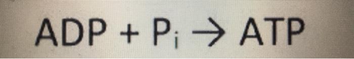 Solved ADP + Pi → ATP | Chegg.com