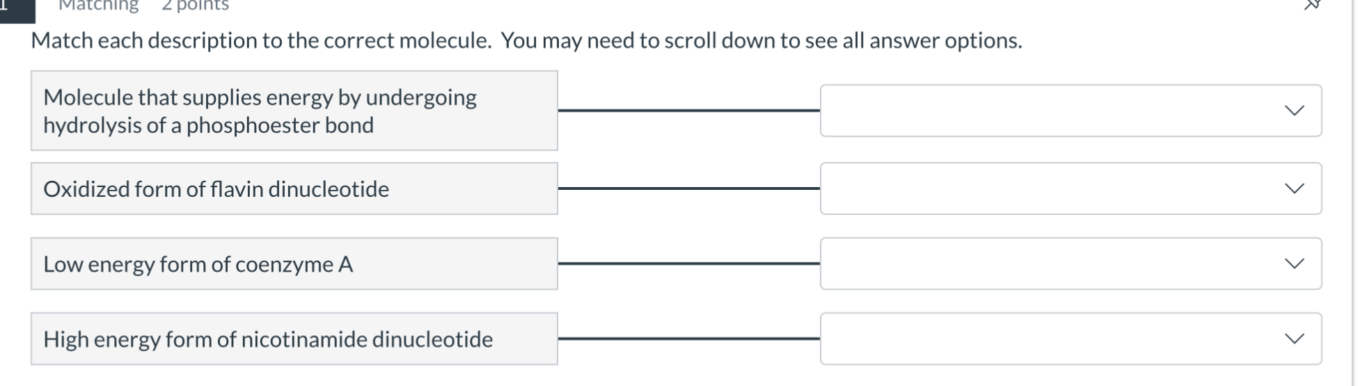 Solved Match each description to the correct molecule. You | Chegg.com